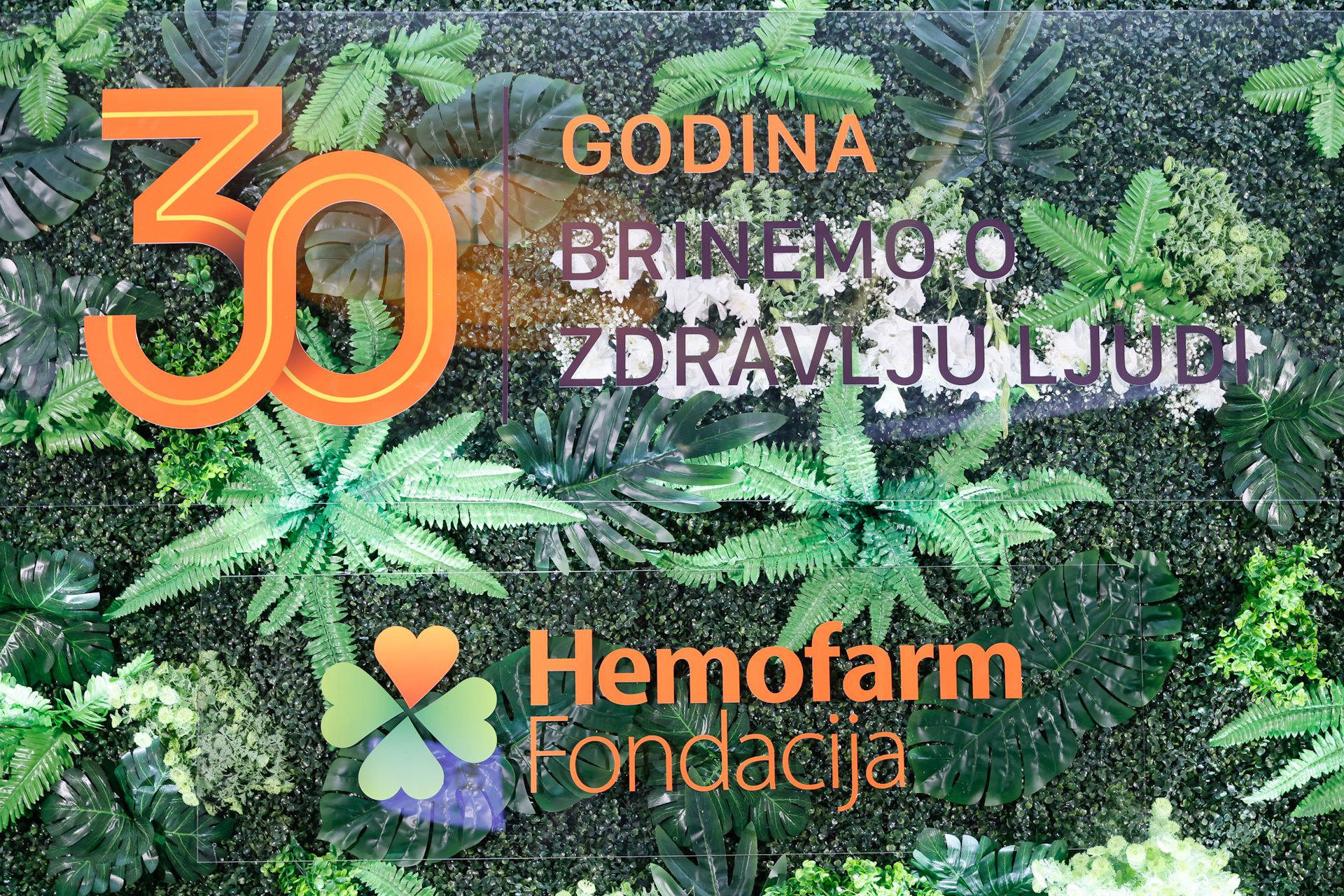Hemofarm - News - 30 Years of Hemofarm Foundation